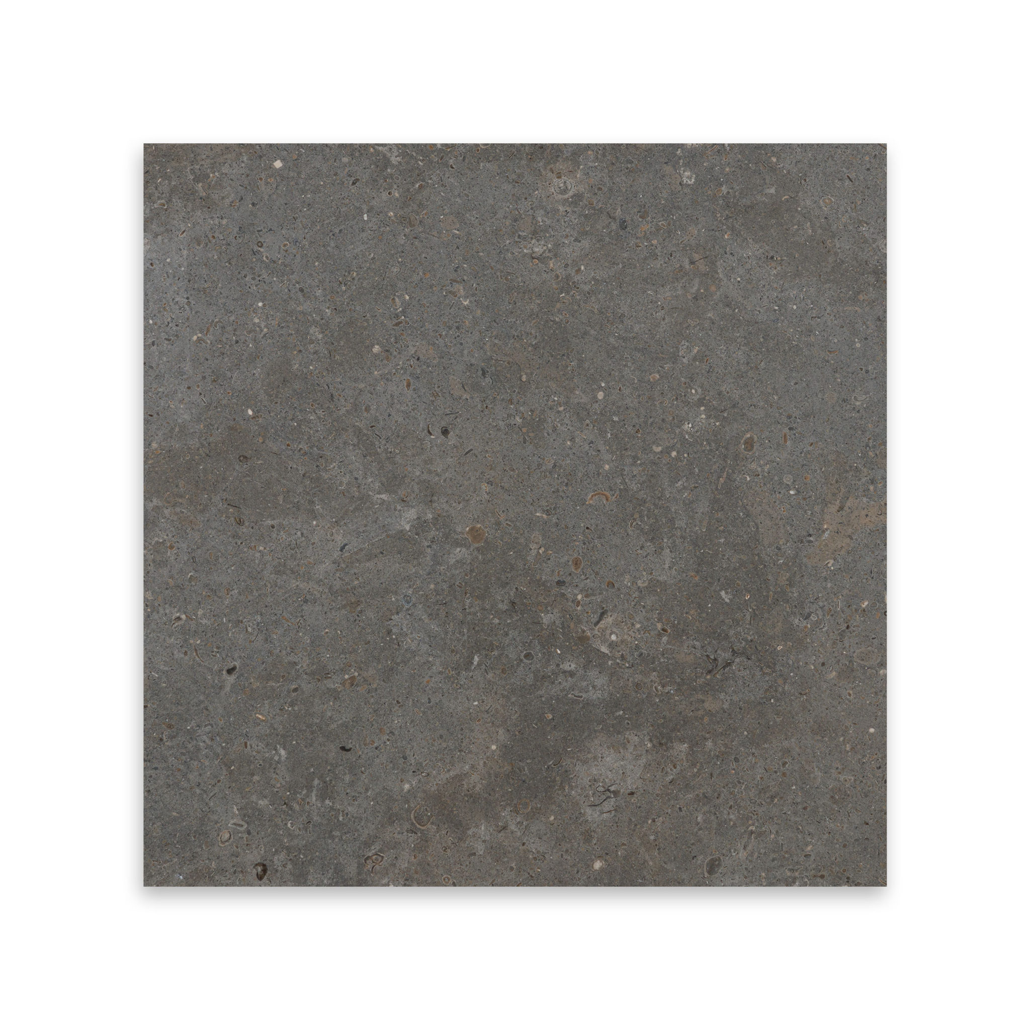 Lagos Blue Limestone Tile | Natural Stone Resources